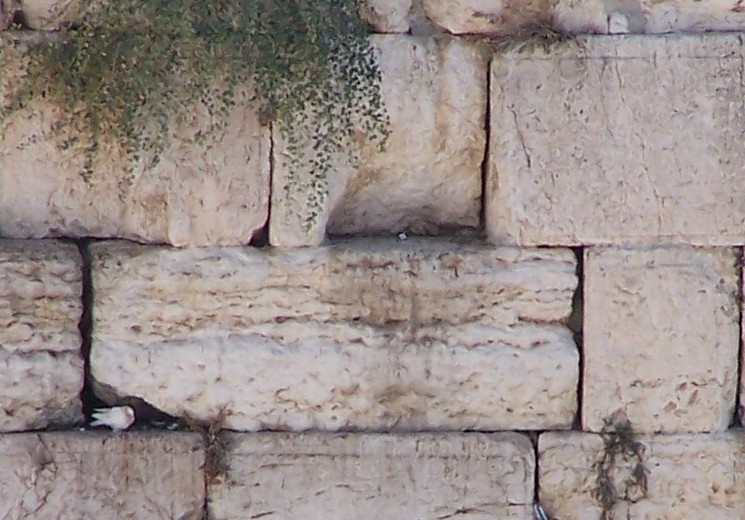 About – Whole Stones