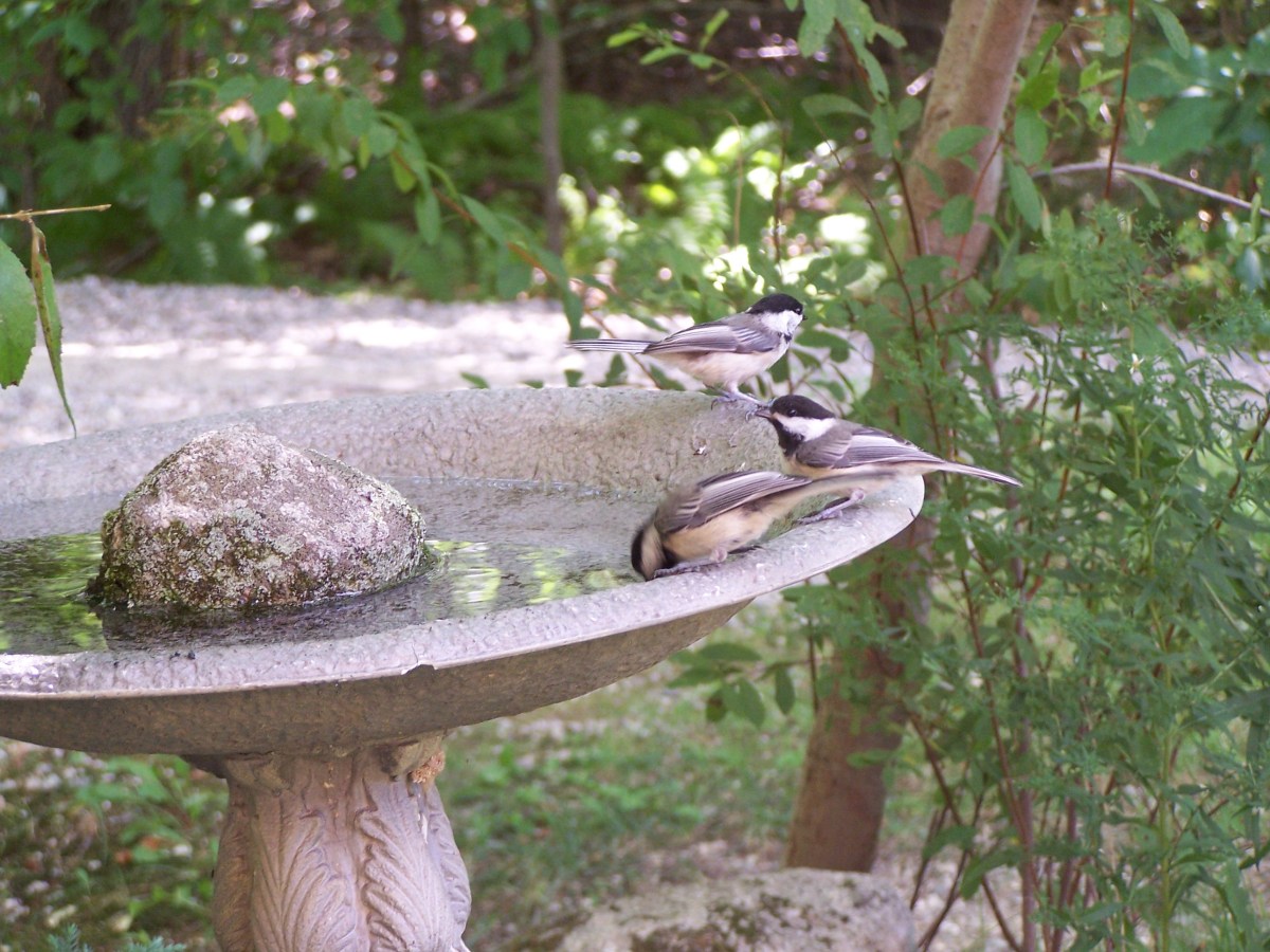 Extending Mercy – Whole Stones